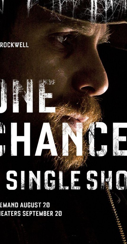 A SINGLE SHOT Posters