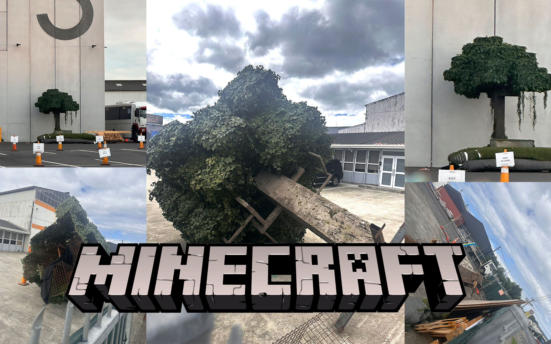 Minecraft Set Photos Reveal Cube-Shaped Trees - FilmoFilia