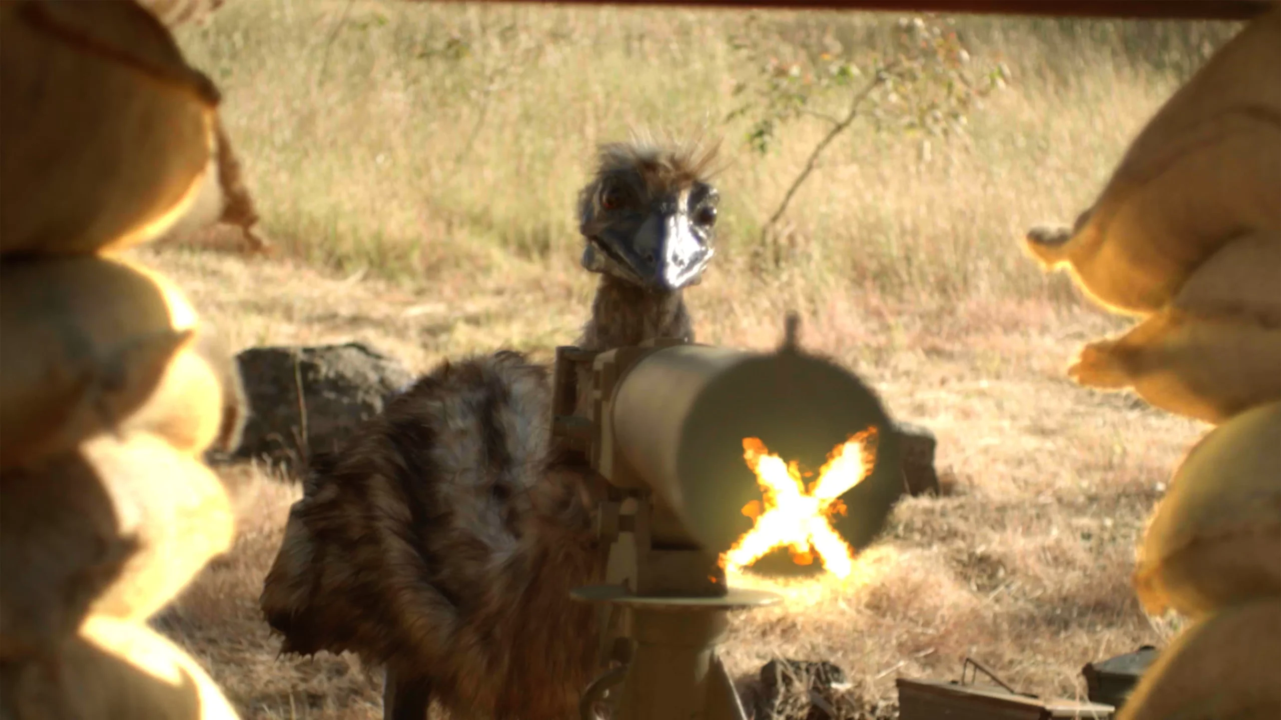 'The Emu War' Trailer: Australia's Wildest Comedy Battle - FilmoFilia
