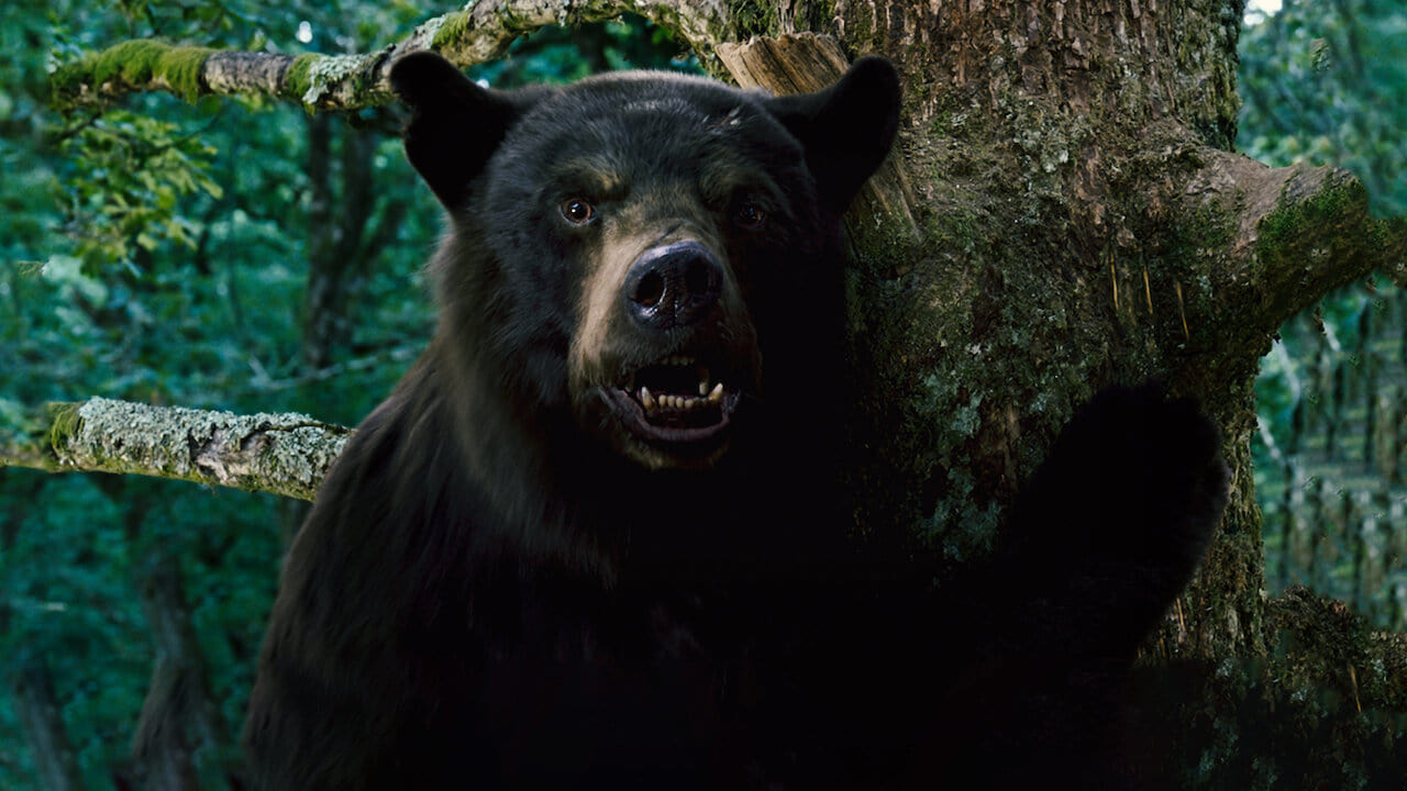 Get Ready for More Chaos: 'Cocaine Bear' Sequel is in the Works ...