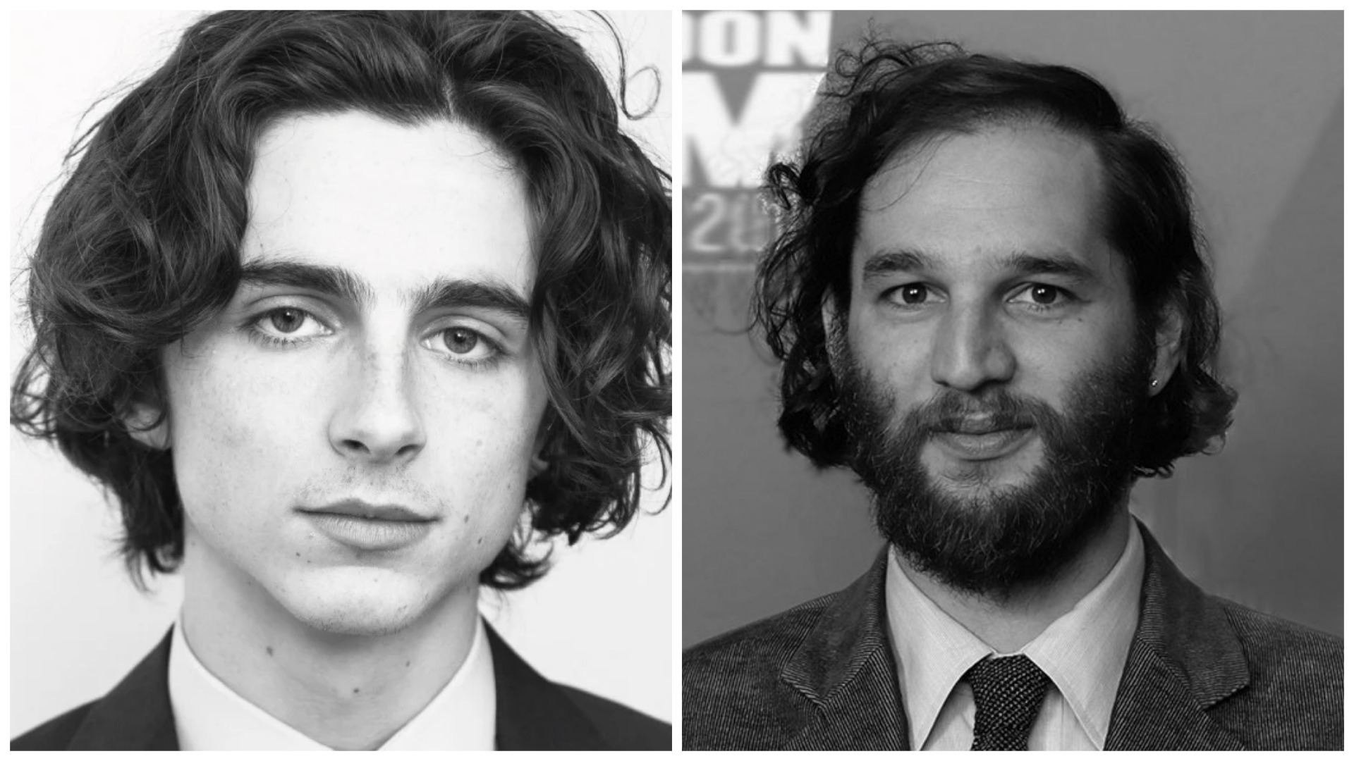 Timothée Chalamet and Josh Safdie Team Up for A24's Ping Pong Biopic ...