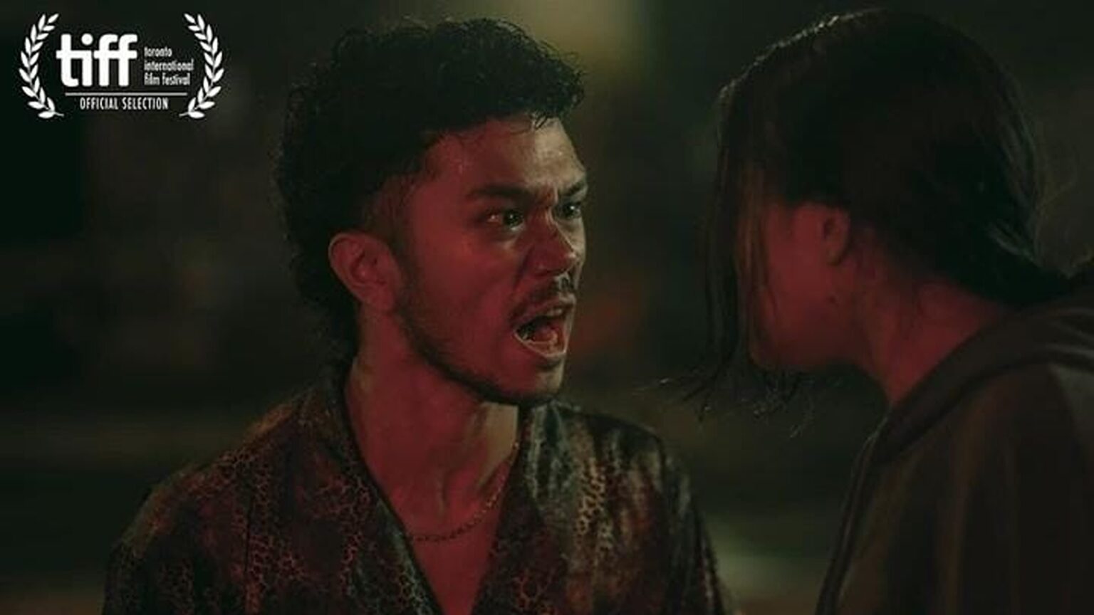 'The Shadow Strays' Teaser Trailer, Posters and 10 Photos