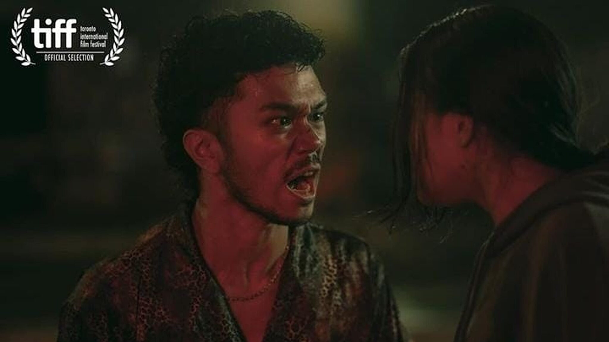'The Shadow Strays' Teaser Trailer, Posters and 10 Photos