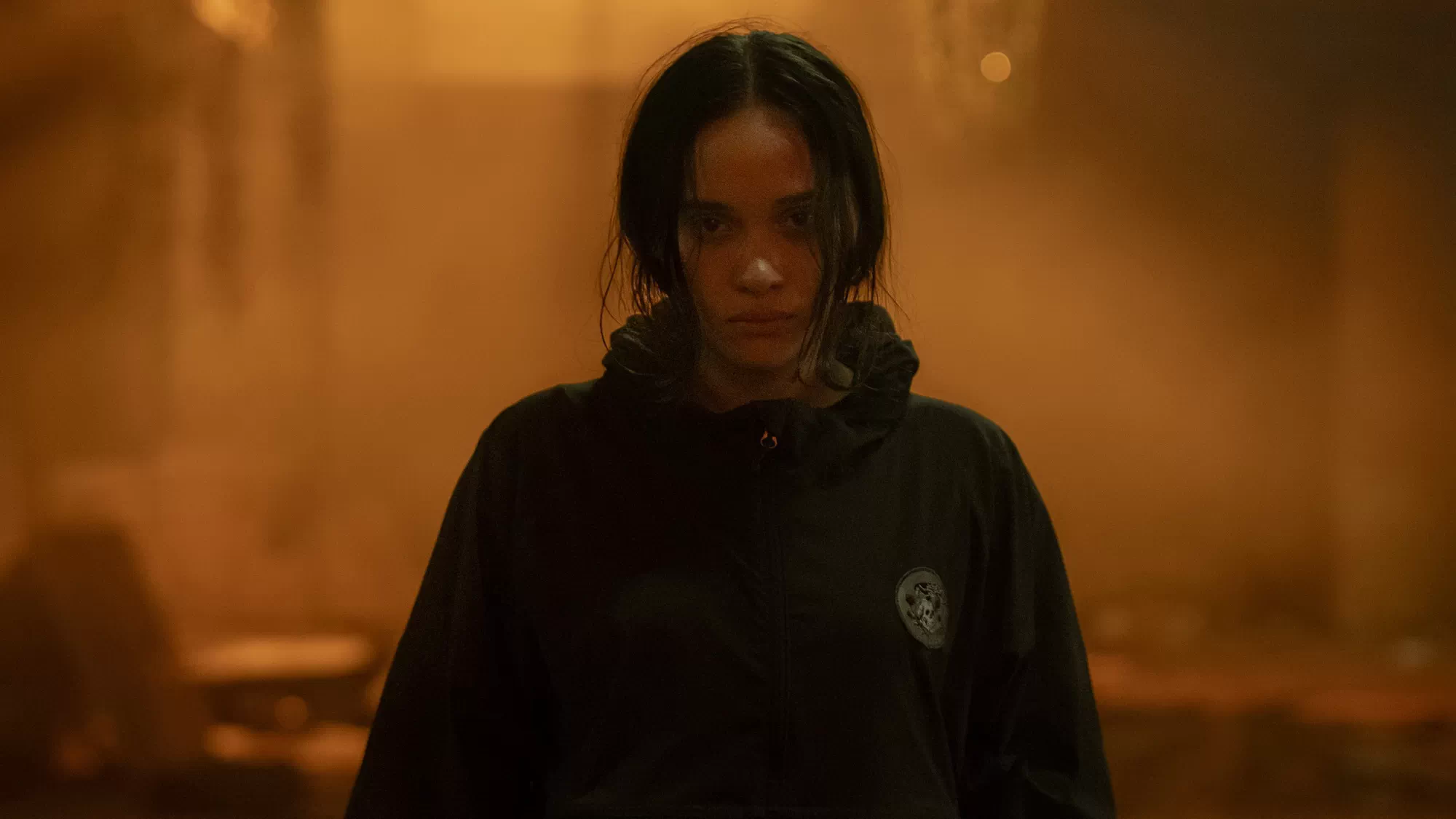 'The Shadow Strays' Teaser Trailer, Posters and 10 Photos