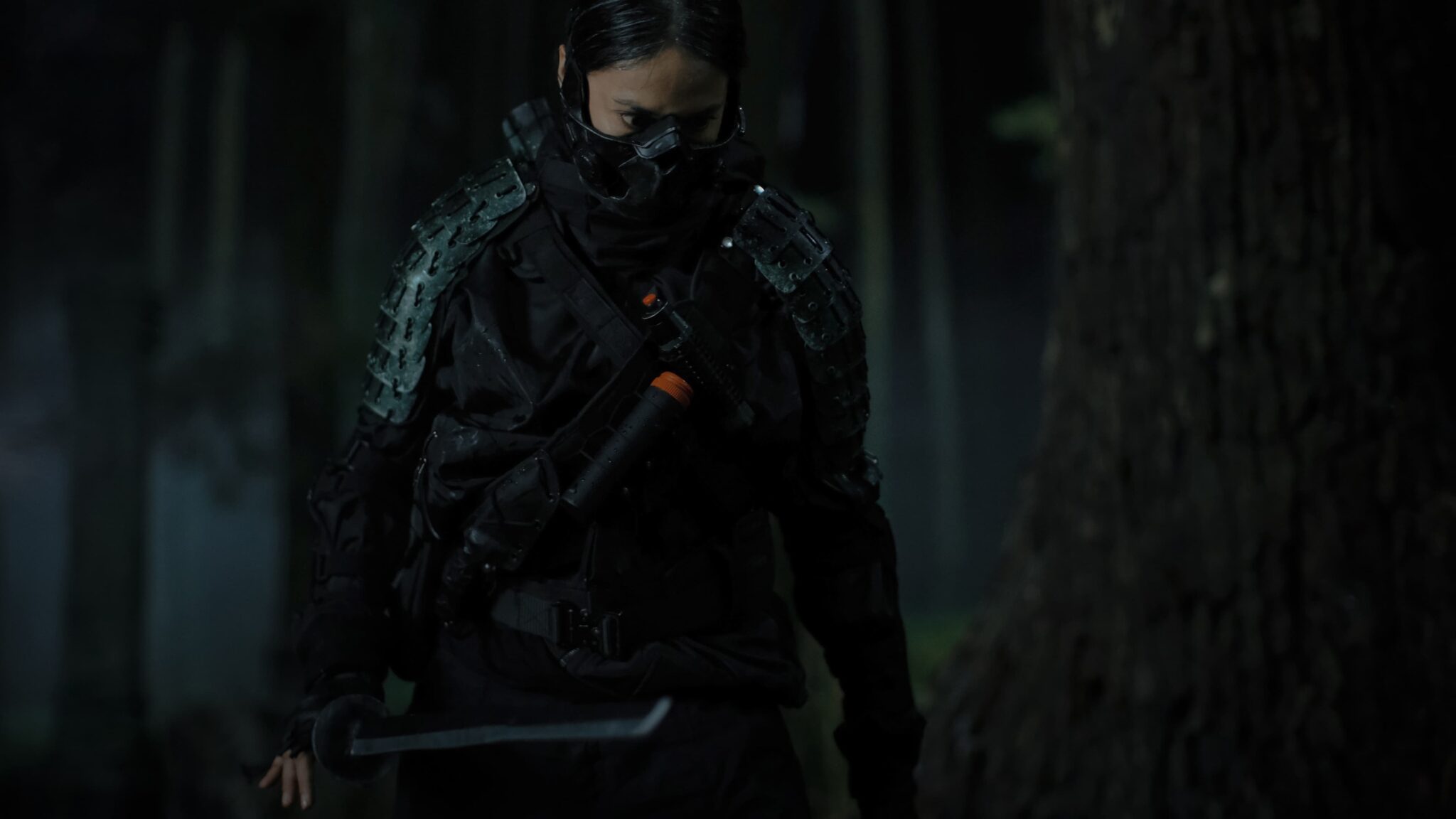 'The Shadow Strays' Teaser Trailer, Posters and 10 Photos