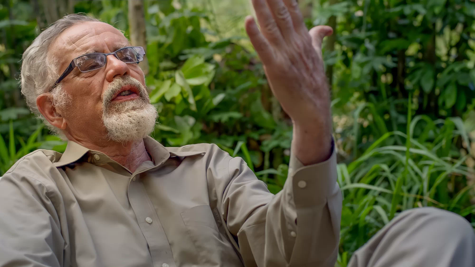 Unlocking the Genius of Evolution: 'Wild Genius' Documentary Explores ...