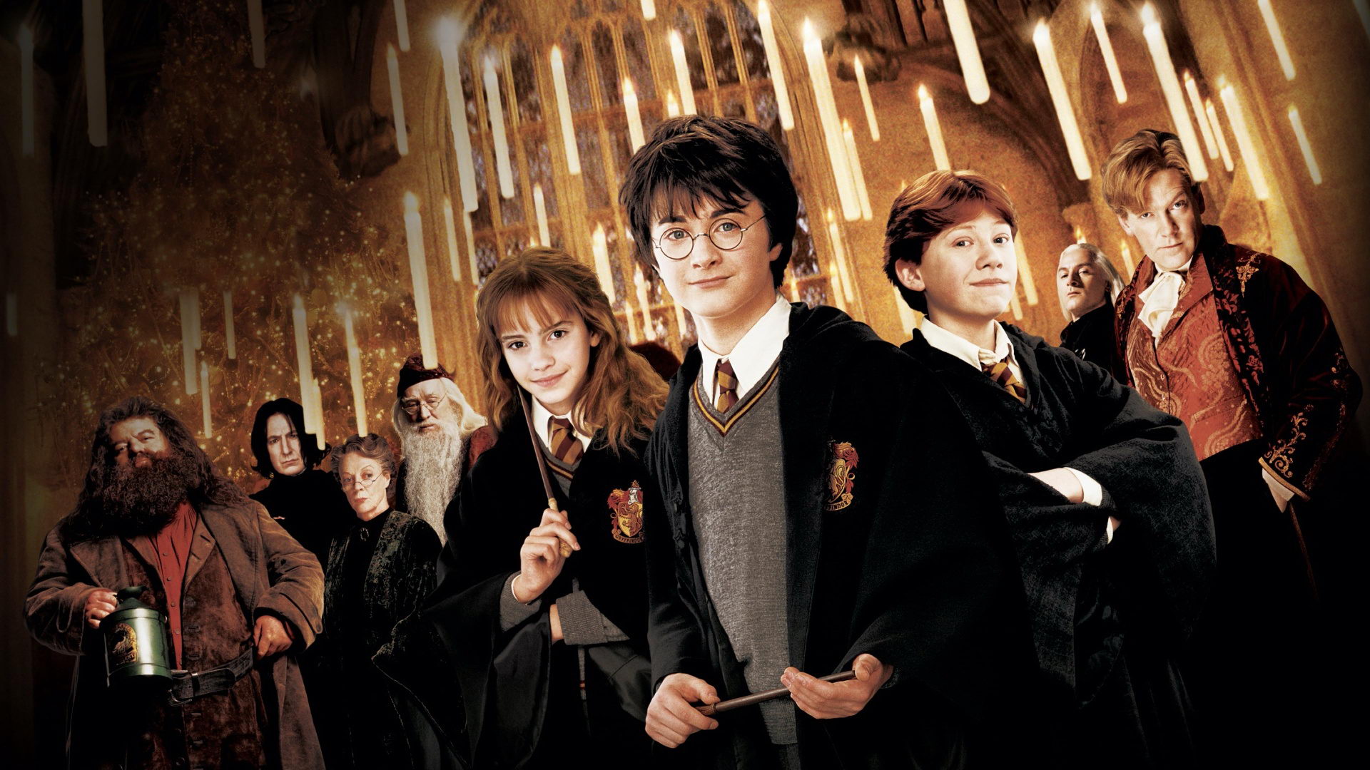 Original Harry Potter Director Praises HBO's TV Reboot, Highlighting ...