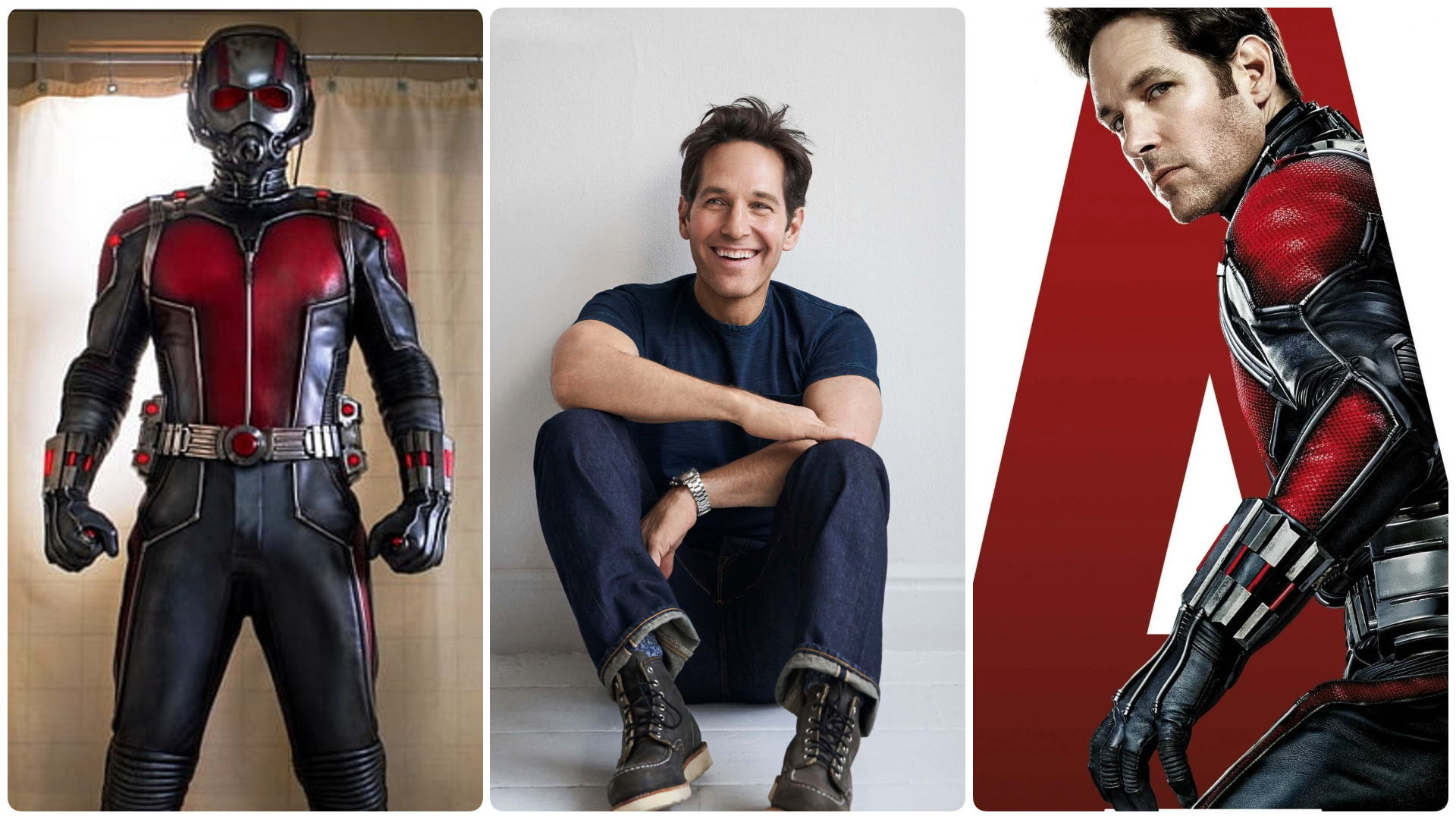 Paul Rudd Hints at Ant-Man's MCU Future