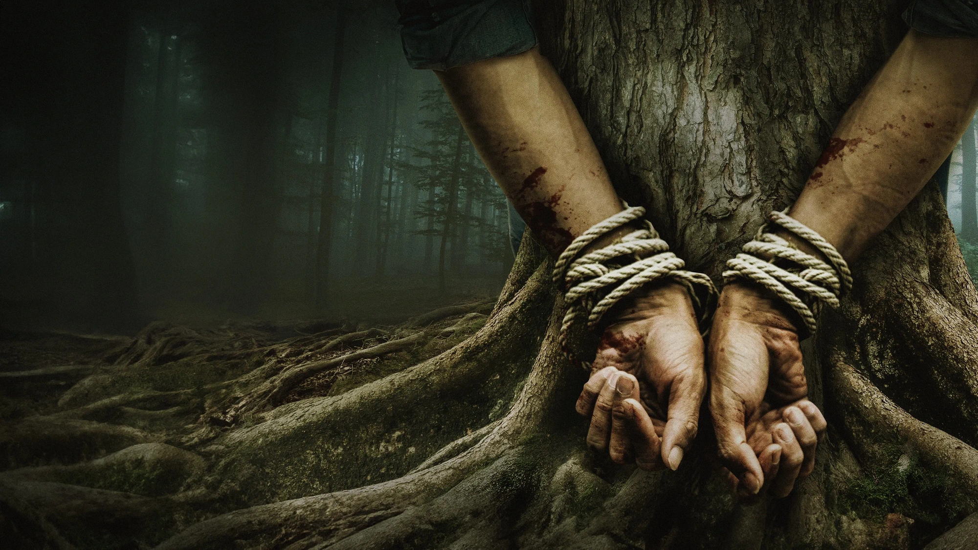 Bark Horror Movie Trailer Breakdown & Release Date