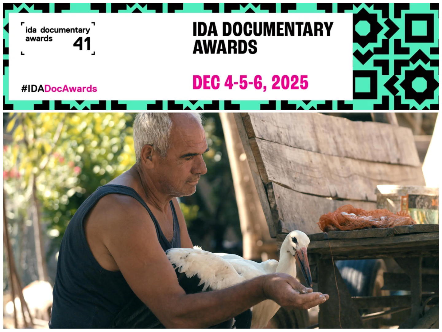 IDA Documentary Award Winners: 2025 Results Analysis & Oscar Odds ...
