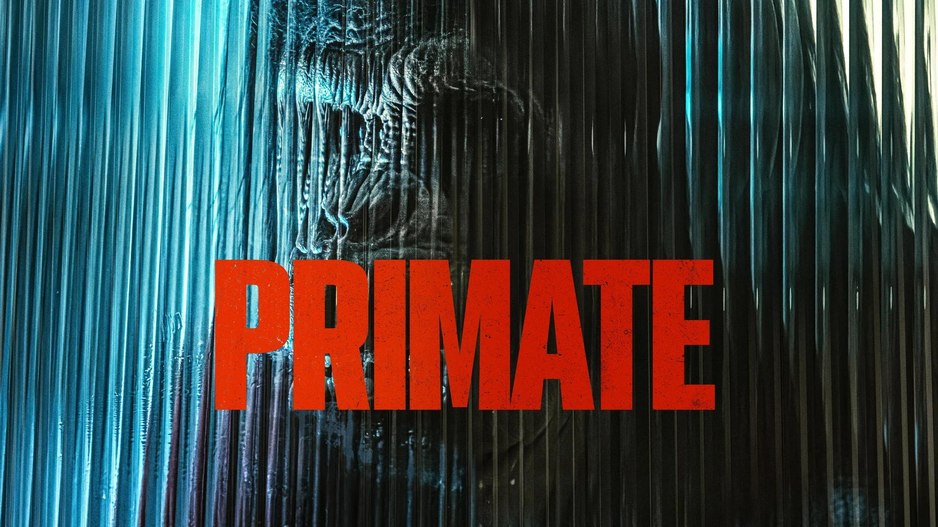 Primate Started as a Dog Movie Before Johannes Roberts Found His Chimp ...