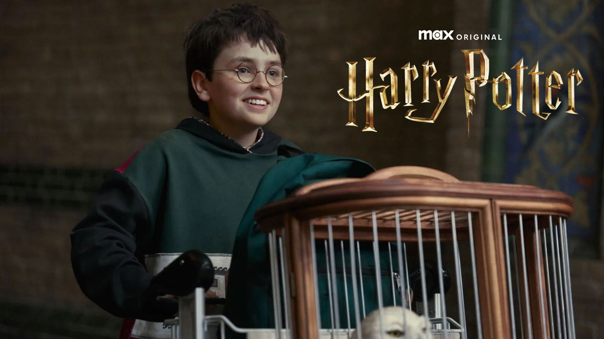 Harry Potter Trailer Breaks Every HBO Record and Validates Warner Bros ...
